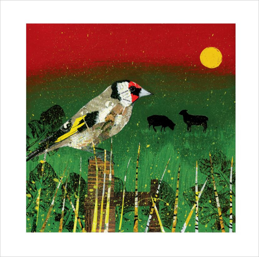 Goldfinch Summer Dusk Card by Adam James Severn - Cards and Gift Wrap