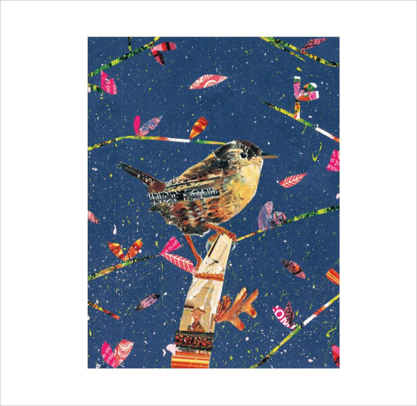 Wren in Spring Fizz Card by Adam James Severn - Cards and Gift Wrap