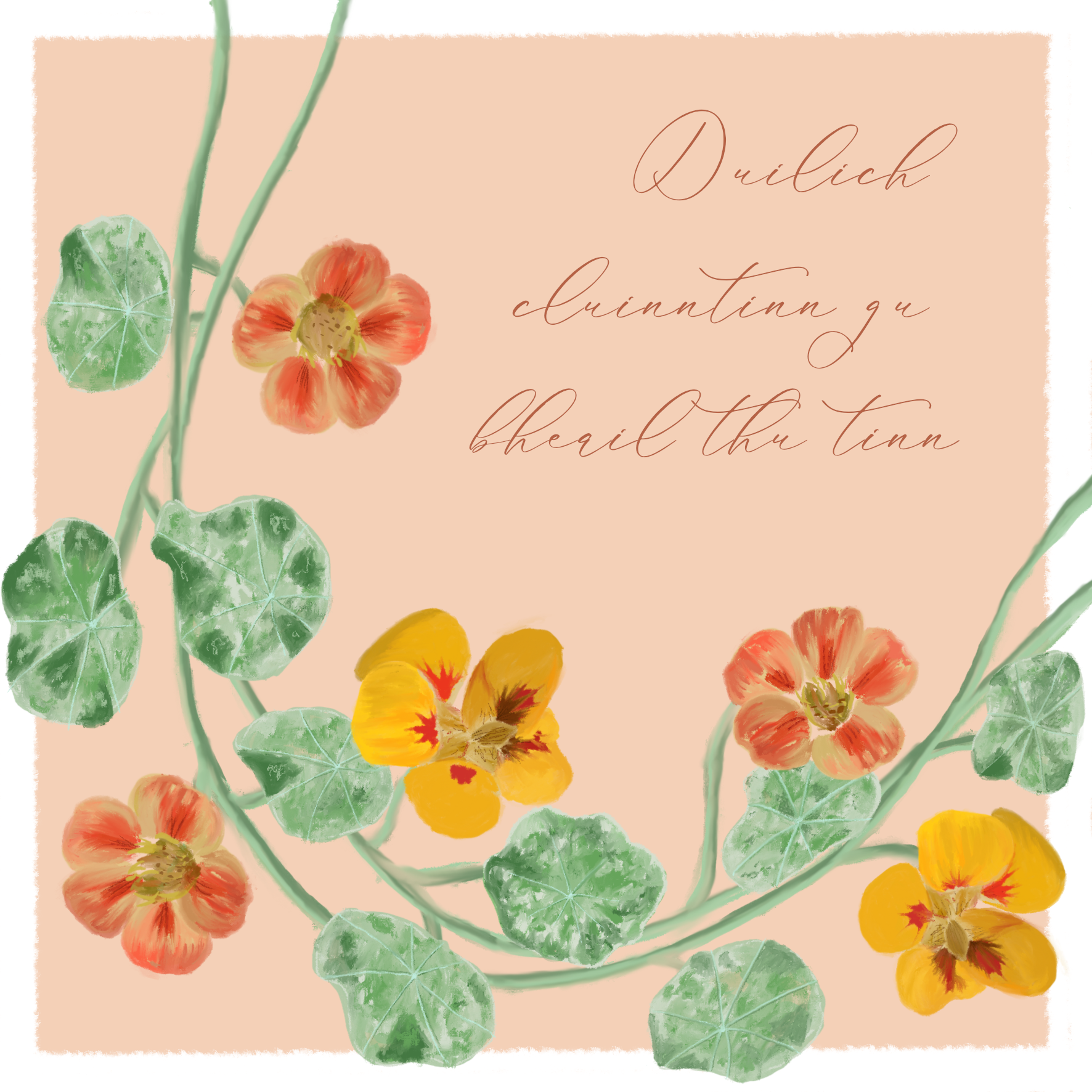 Duilich Nasturtium Gaelic Get Well Card - Cards and Gift Wrap